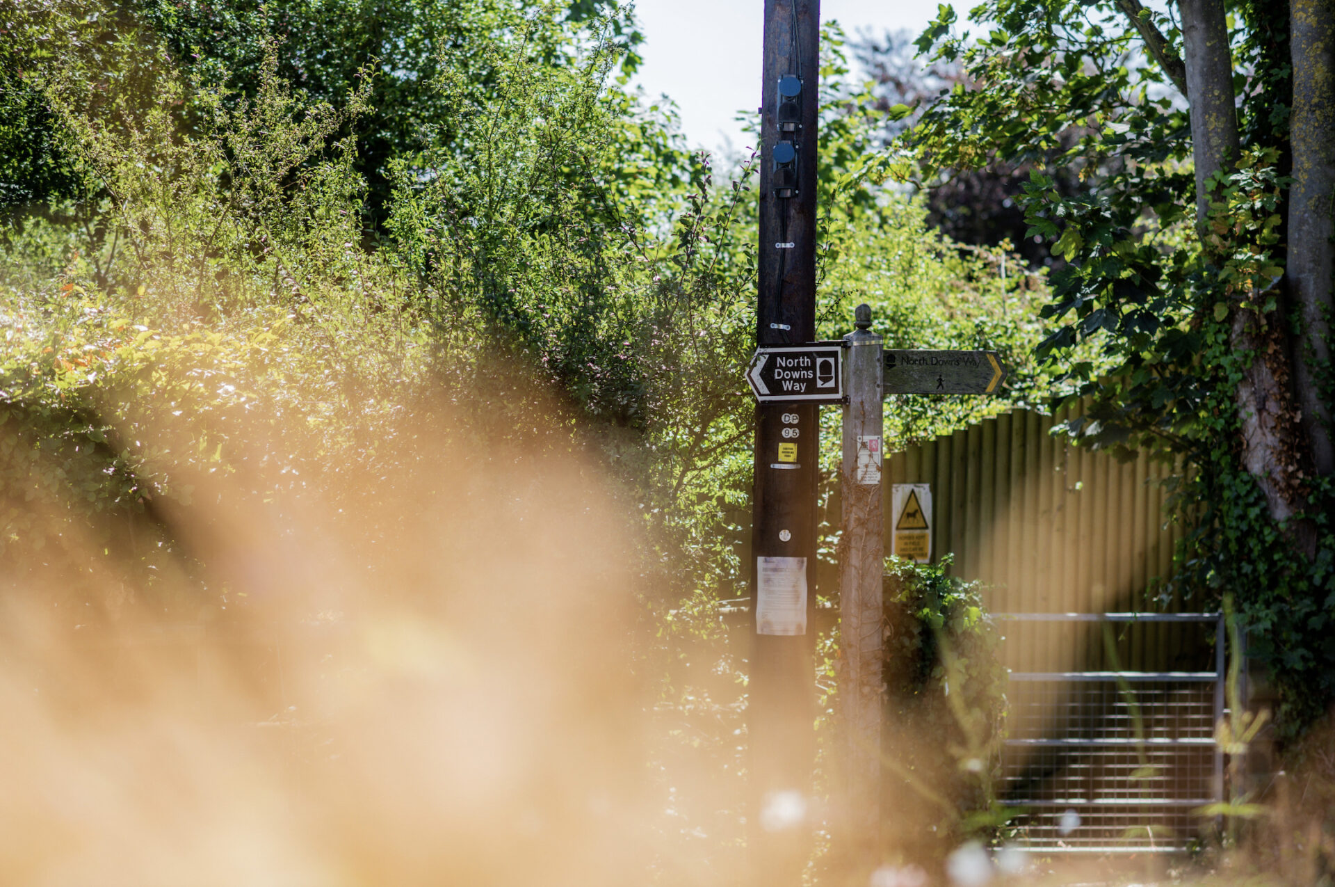 The Tiger Inn Gallery | Gastro Pubs in Stowting, Ashford