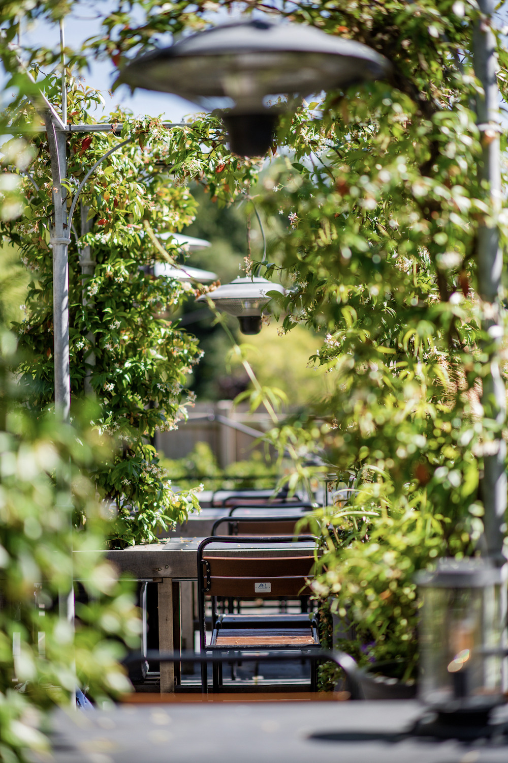 The Tiger Inn Gallery | Gastro Pubs in Stowting, Ashford